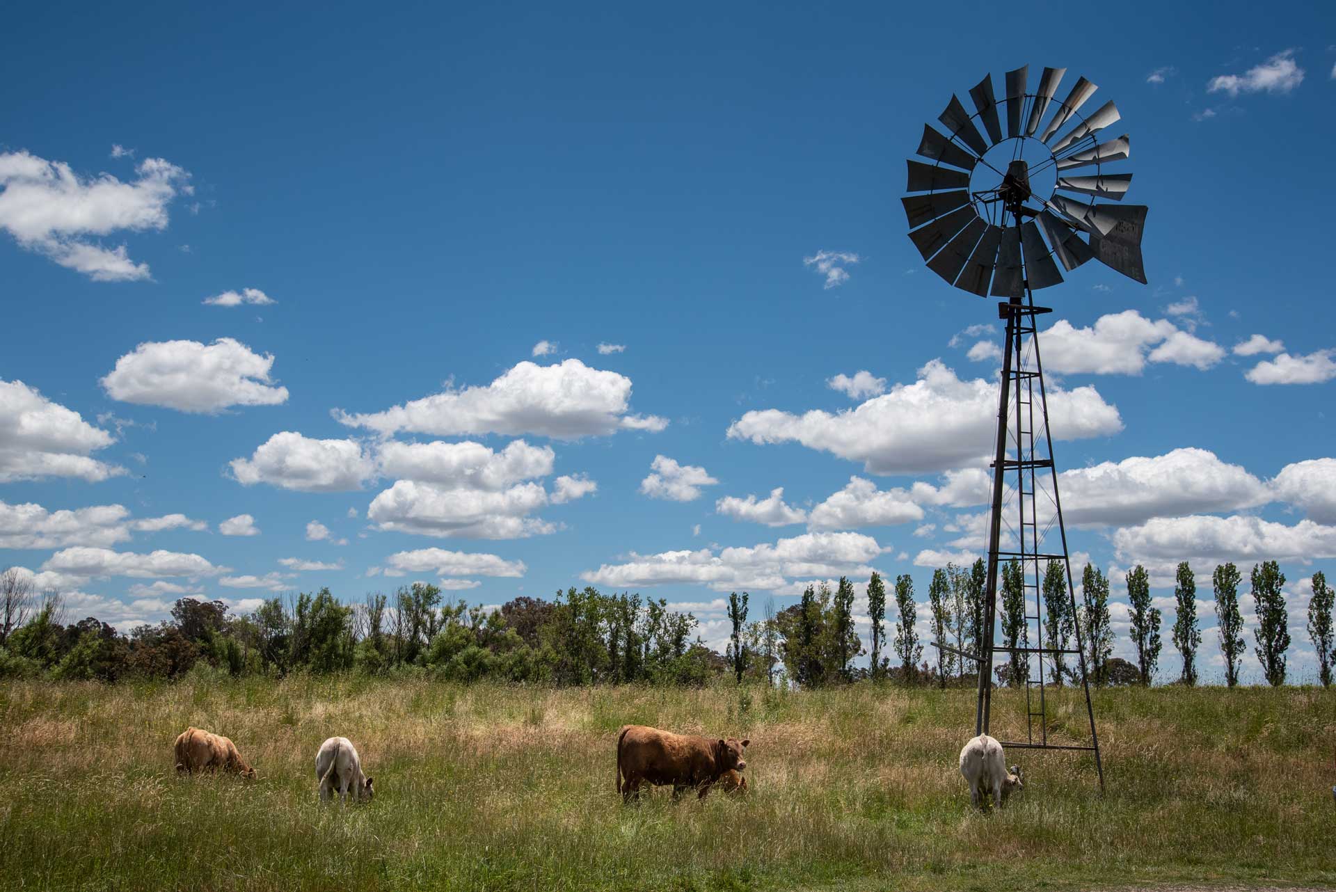 Book - Selina Win Pe